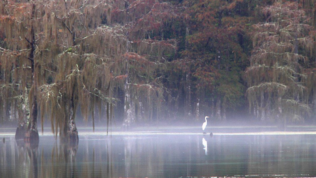 Chipola River Paddling Trail | The Ovens and Maund Spring | The WFSU ...