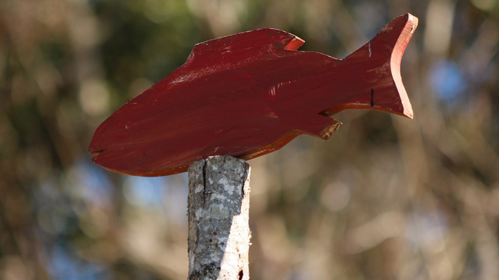 Exploring Muscogee Culture Through Shell Carving | The WFSU Ecology Blog